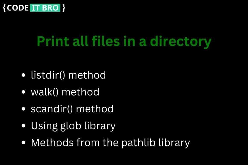 CodeItBro on LinkedIn: #python #pythonprogramming #pythonforbeginners CodeItBro on LinkedIn: #python #pythonprogramming #pythonforbeginners