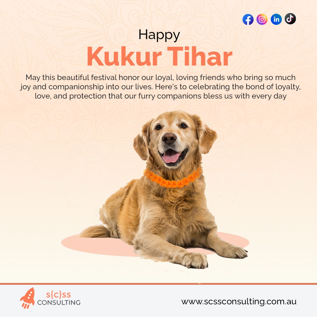 SCSS Consulting on LinkedIn: #kukurtihar #tihar #scssconsultingaustralia SCSS Consulting on LinkedIn: #kukurtihar #tihar #scssconsultingaustralia