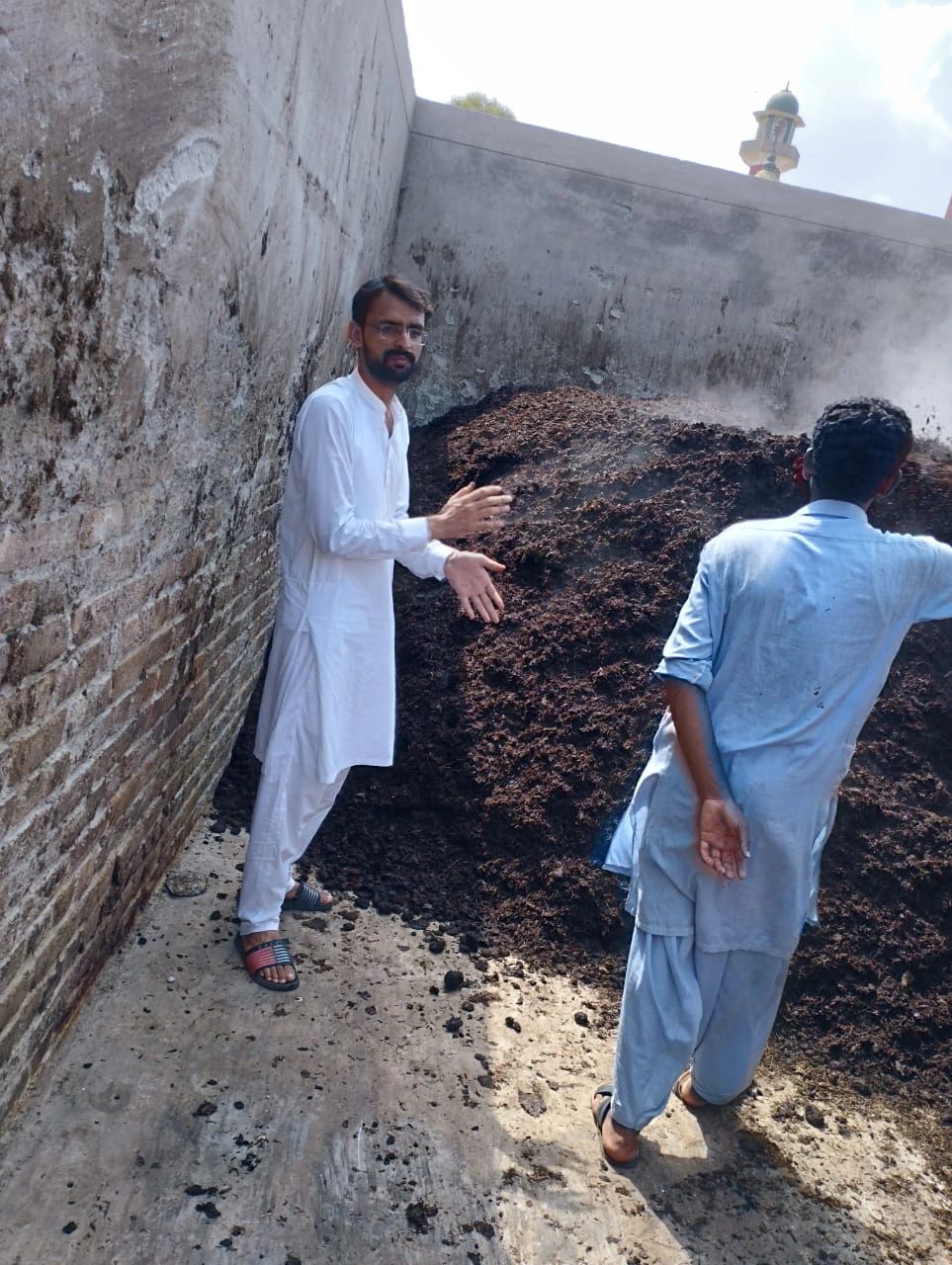 Hamza Nasir Khaira on LinkedIn: #compostmaking #mushroomgrowth # ... Hamza Nasir Khaira on LinkedIn: #compostmaking #mushroomgrowth # ...