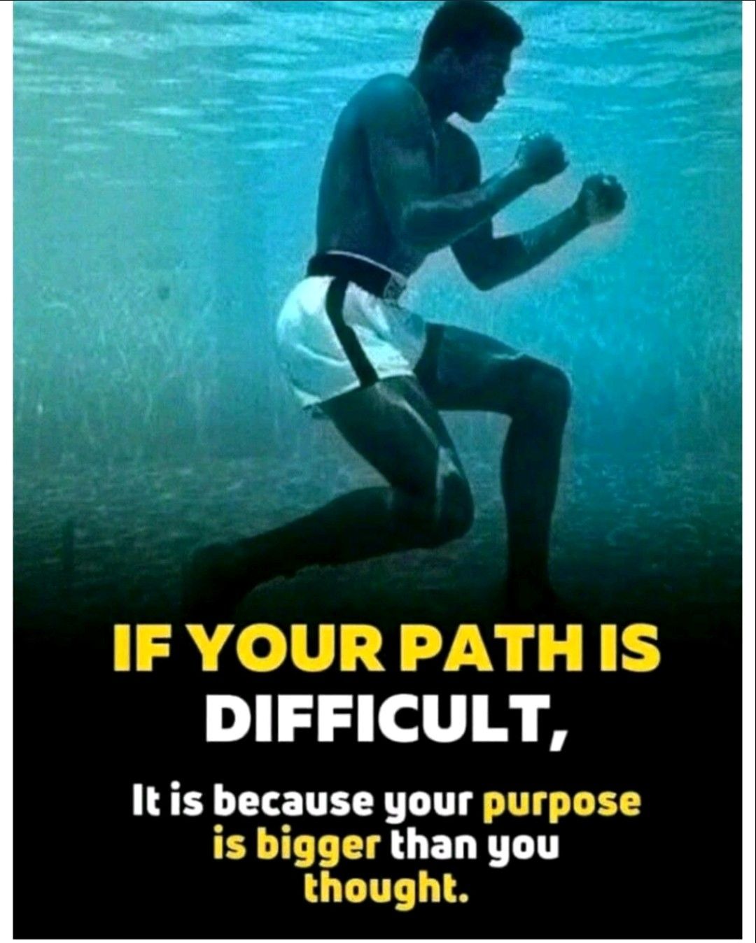 Abhishek Pratap Singh Rathore on LinkedIn: #goodmorning Abhishek Pratap Singh Rathore on LinkedIn: #goodmorning