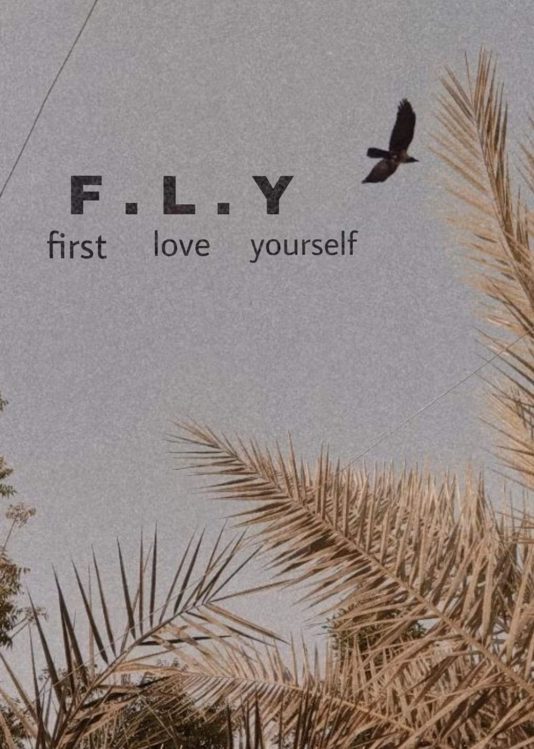 ️ The day will be even more beautiful if you trust yourself first ️ ... ️ The day will be even more beautiful if you trust yourself first ️ ...