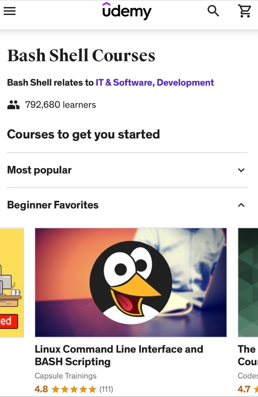 Ibrahim Shamel on LinkedIn: #linux #course #udemy #bash #scripting Ibrahim Shamel on LinkedIn: #linux #course #udemy #bash #scripting