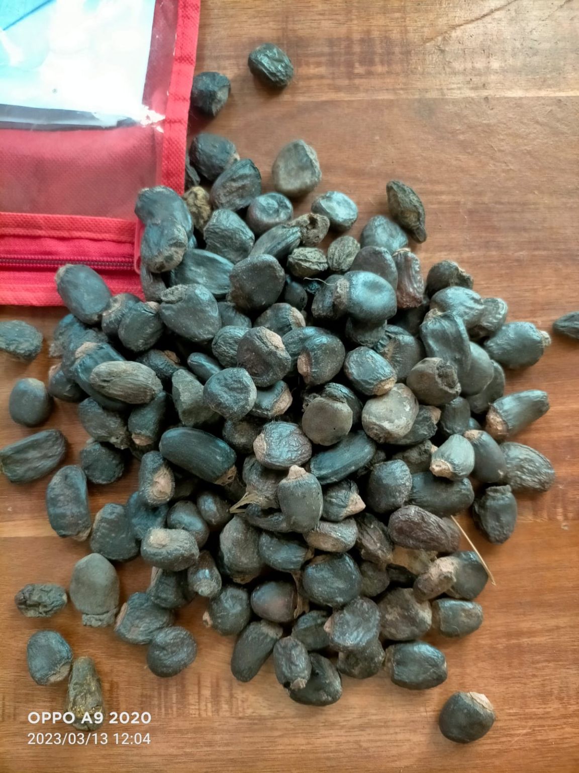 Rudra Pratap Singh Rathore on LinkedIn: AVAILABLE BHILAWA/BHILAMA SEED ... Rudra Pratap Singh Rathore on LinkedIn: AVAILABLE BHILAWA/BHILAMA SEED ...