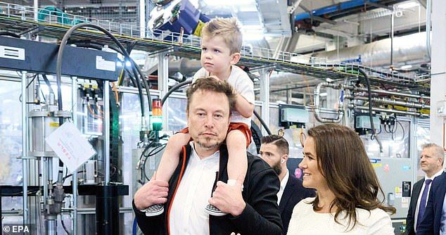 Grimes sues Elon Musk over parental rights of their three children ... Grimes sues Elon Musk over parental rights of their three children ...