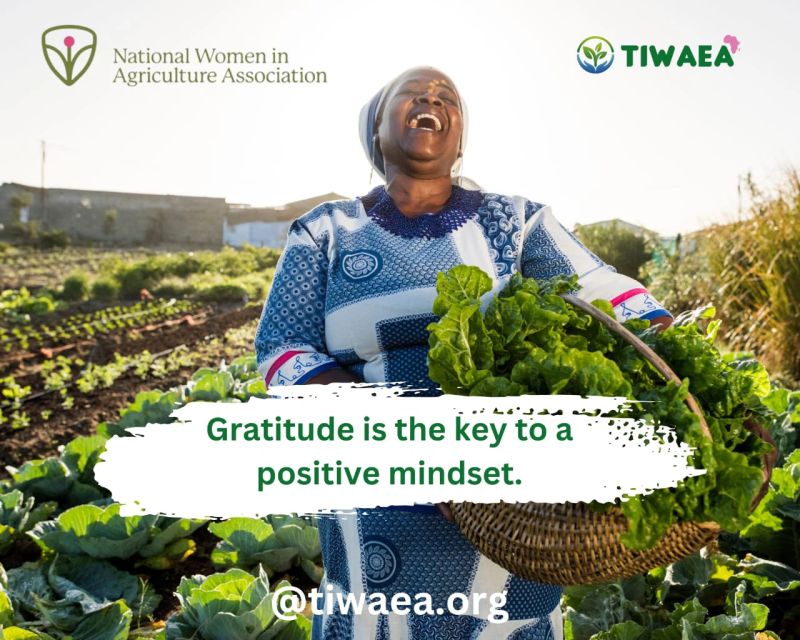 TIWAEA Africa on LinkedIn: #gratitude #womeninagriculture # ... TIWAEA Africa on LinkedIn: #gratitude #womeninagriculture # ...