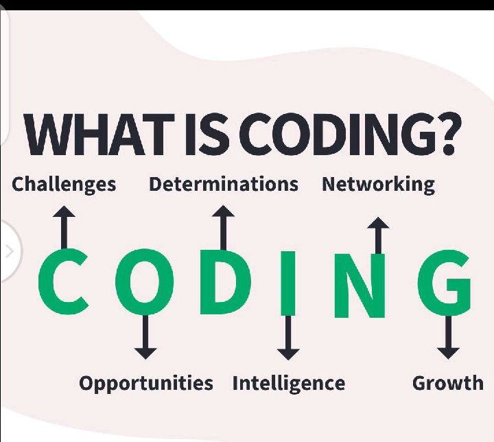 coding means??? | Nitish kumar coding means??? | Nitish kumar