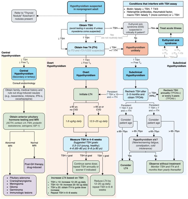 Zeeshan Ahmed Khattak on LinkedIn: Hypothyroidism - Diagnostic Algorithm Zeeshan Ahmed Khattak on LinkedIn: Hypothyroidism - Diagnostic Algorithm