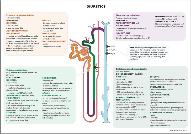 Diuretics - Summary | Zeeshan Ahmed Khattak Diuretics - Summary | Zeeshan Ahmed Khattak