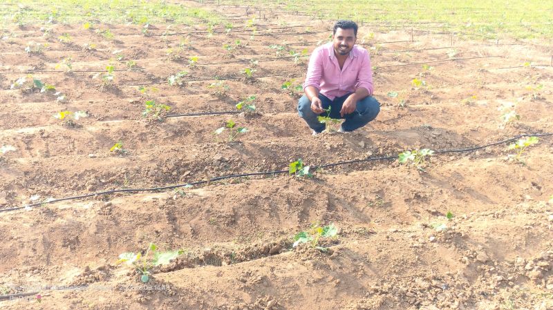 Rohit Mandal on LinkedIn: #farming #jharkhand #ranchi Rohit Mandal on LinkedIn: #farming #jharkhand #ranchi