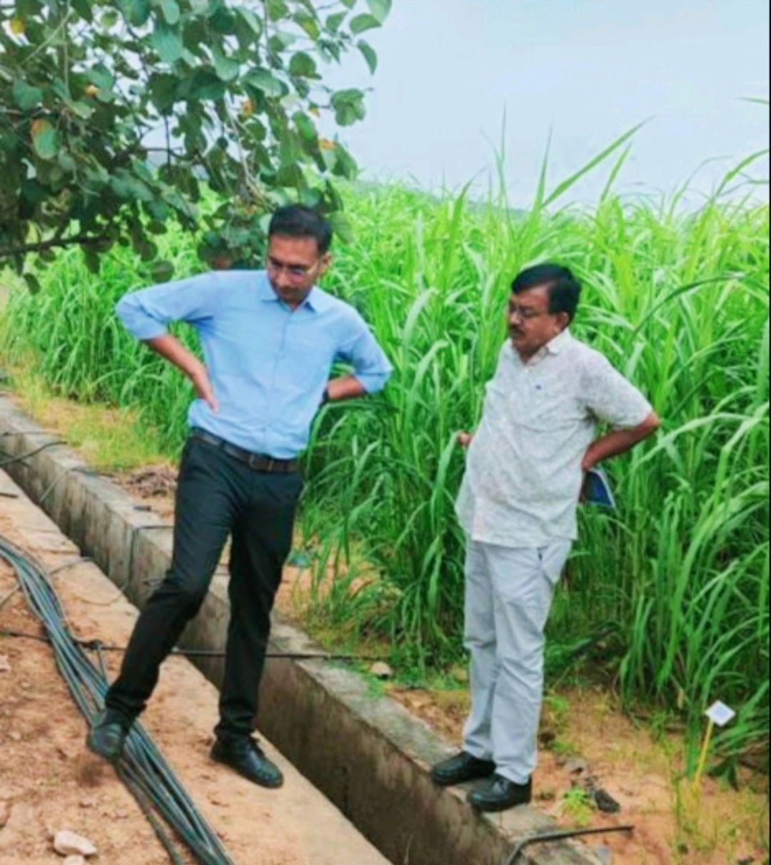 Gaurav Agrawal on LinkedIn: #agriculture Gaurav Agrawal on LinkedIn: #agriculture