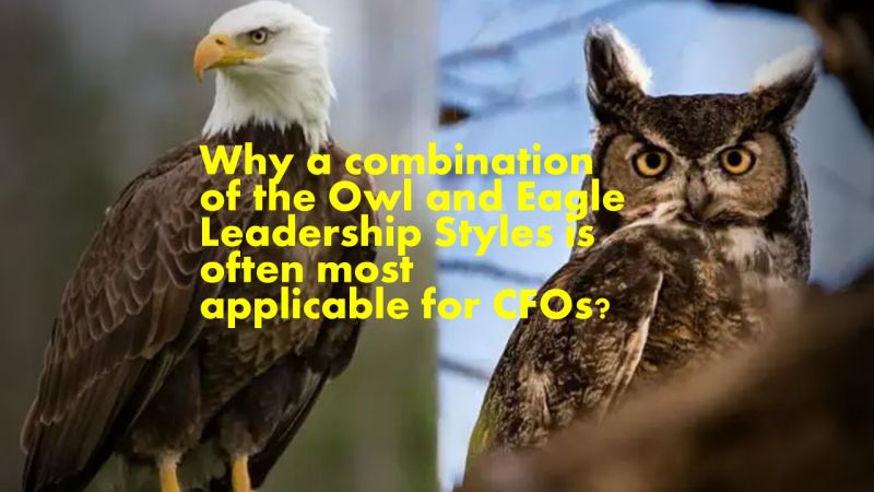 Why CFOs need both Wisdom and Vision? The Owl and the Eagle | Nisanth ... Why CFOs need both Wisdom and Vision? The Owl and the Eagle | Nisanth ...