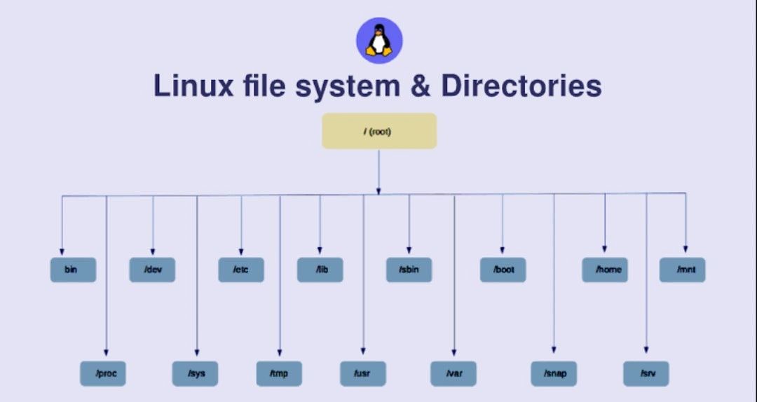 Prashant Chauhan on LinkedIn: ๐ Exploring the Depths of Linux File ... Prashant Chauhan on LinkedIn: ๐ Exploring the Depths of Linux File ...
