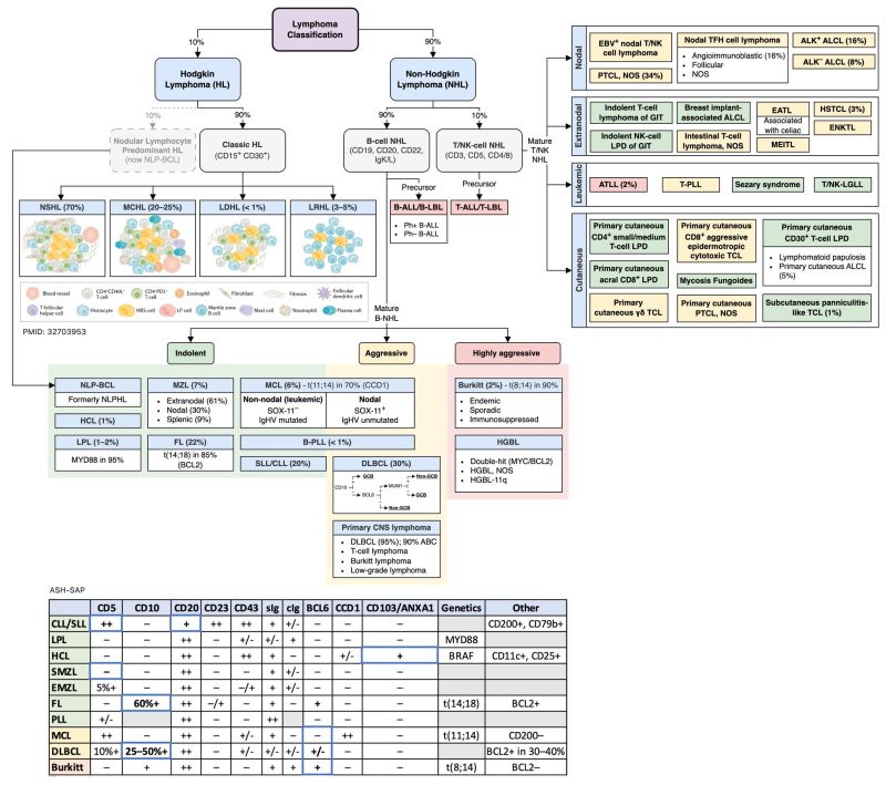 Zeeshan Ahmed Khattak on LinkedIn: Lymphoma Classification Zeeshan Ahmed Khattak on LinkedIn: Lymphoma Classification