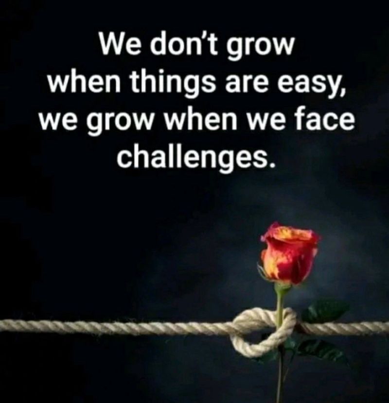 Sambhav Tunwal on LinkedIn: #quoteoftheday #motivational Sambhav Tunwal on LinkedIn: #quoteoftheday #motivational