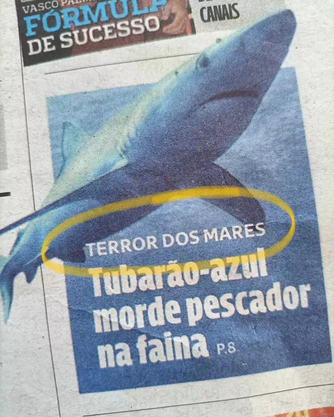Pedro Silvestre Madeira posted on LinkedIn Pedro Silvestre Madeira posted on LinkedIn