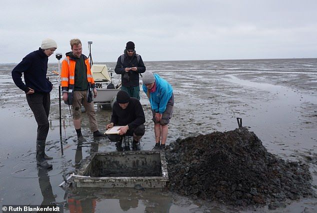 NewsFlash.one on LinkedIn: Germany's 'Atlantis' is FOUND: Experts ... NewsFlash.one on LinkedIn: Germany's 'Atlantis' is FOUND: Experts ...