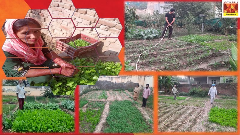 Poshan Vatika: How farmers cultivated vegetables | Ankush Rana posted ... Poshan Vatika: How farmers cultivated vegetables | Ankush Rana posted ...
