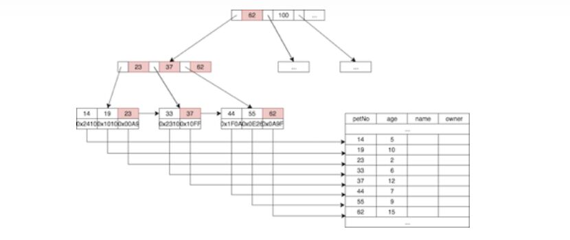 Vaibhav Mavani on LinkedIn: #sql #database #bplustrees #techtips #backend Vaibhav Mavani on LinkedIn: #sql #database #bplustrees #techtips #backend
