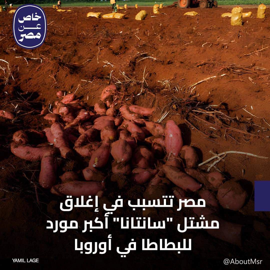 ahmed abdelrazik on LinkedIn: Sweet potato ahmed abdelrazik on LinkedIn: Sweet potato