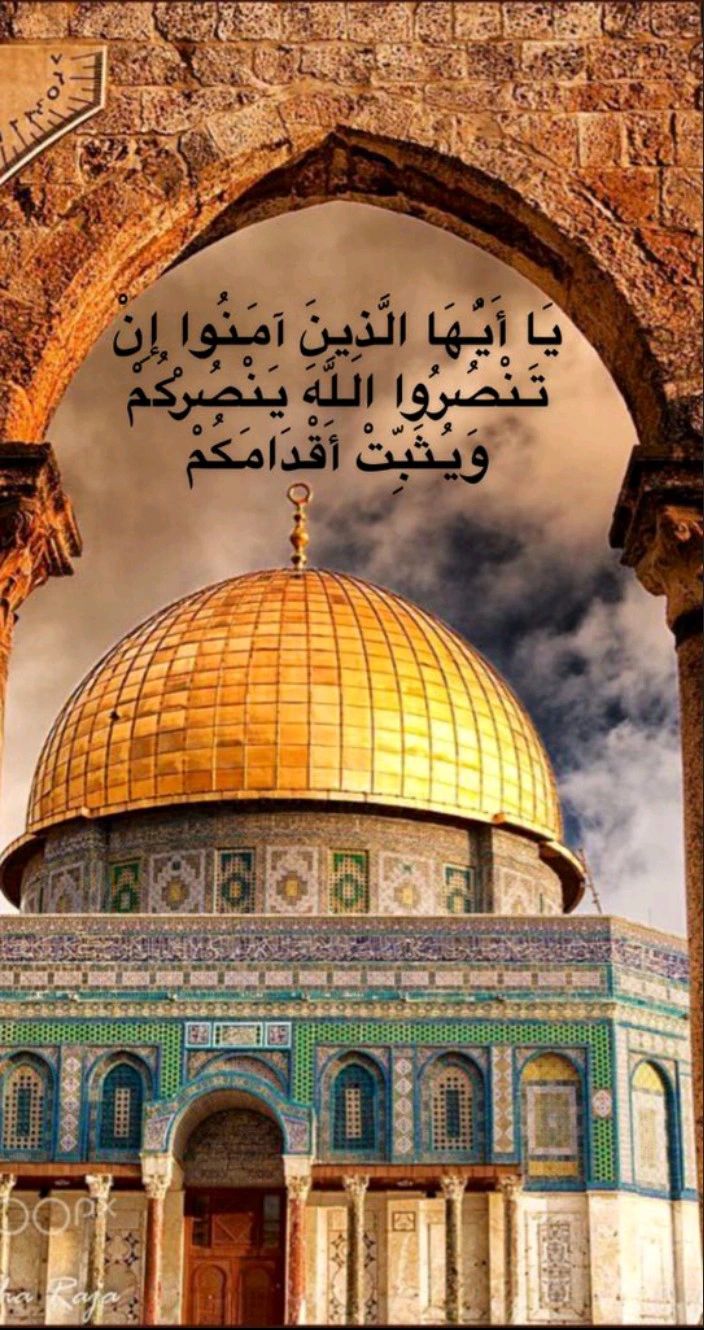 لن يصلح آخر هذه الأمة إلا بما صلح به أولها | Iheb Chebbi لن يصلح آخر هذه الأمة إلا بما صلح به أولها | Iheb Chebbi
