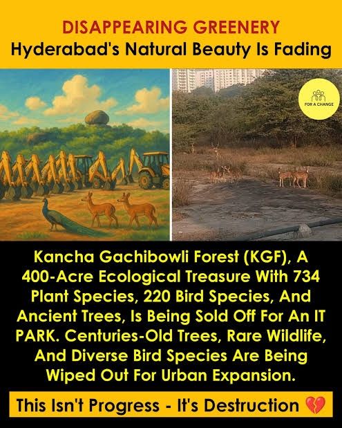 #savekgf #hyderabad #sustainabledevelopment #environment #climateaction ... #savekgf #hyderabad #sustainabledevelopment #environment #climateaction ...