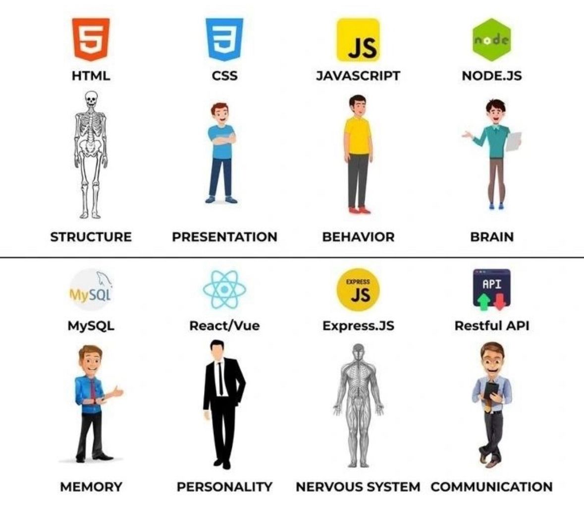 Umer Khan on LinkedIn: Web Development in a nutshell 🫡 Umer Khan on LinkedIn: Web Development in a nutshell 🫡