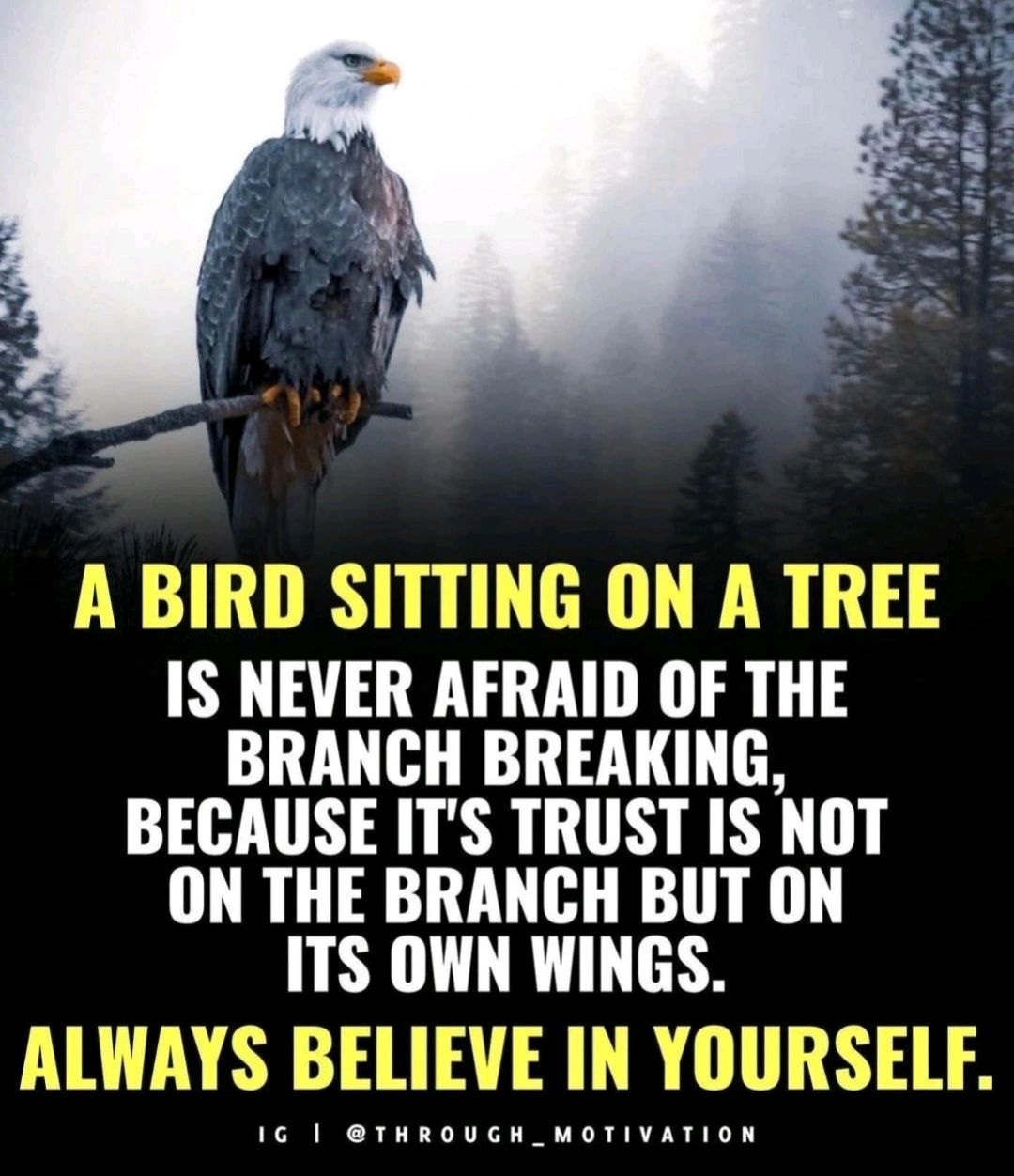 Ravi kumar Sahu on LinkedIn: #couses #google #python #jobs #free # ... Ravi kumar Sahu on LinkedIn: #couses #google #python #jobs #free # ...