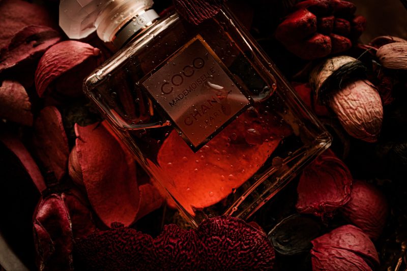 Dhanish Ahamed on LinkedIn: #chanel #photography #dubai #advertising # ... Dhanish Ahamed on LinkedIn: #chanel #photography #dubai #advertising # ...