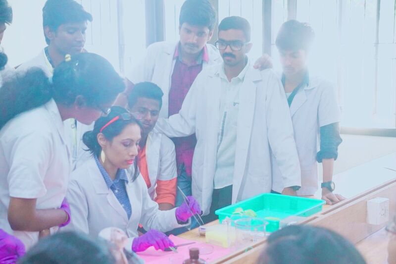 Molelixir Informatics on LinkedIn: #biotech #botany #biology # ... Molelixir Informatics on LinkedIn: #biotech #botany #biology # ...
