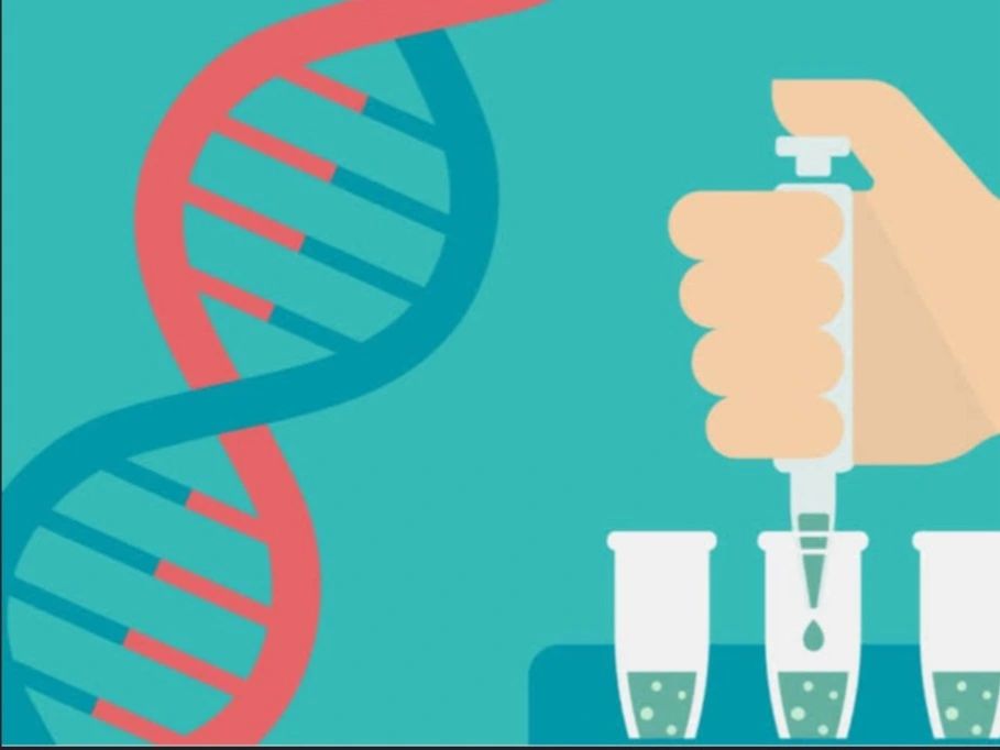 CMB Genomics: Unlocking Potential in Bioinformatics and Genomics ... CMB Genomics: Unlocking Potential in Bioinformatics and Genomics ...
