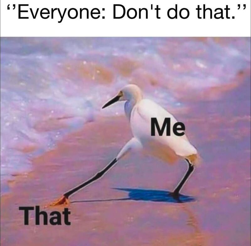 Relatable 😂 | Lazy programmer | 13 comments Relatable 😂 | Lazy programmer | 13 comments