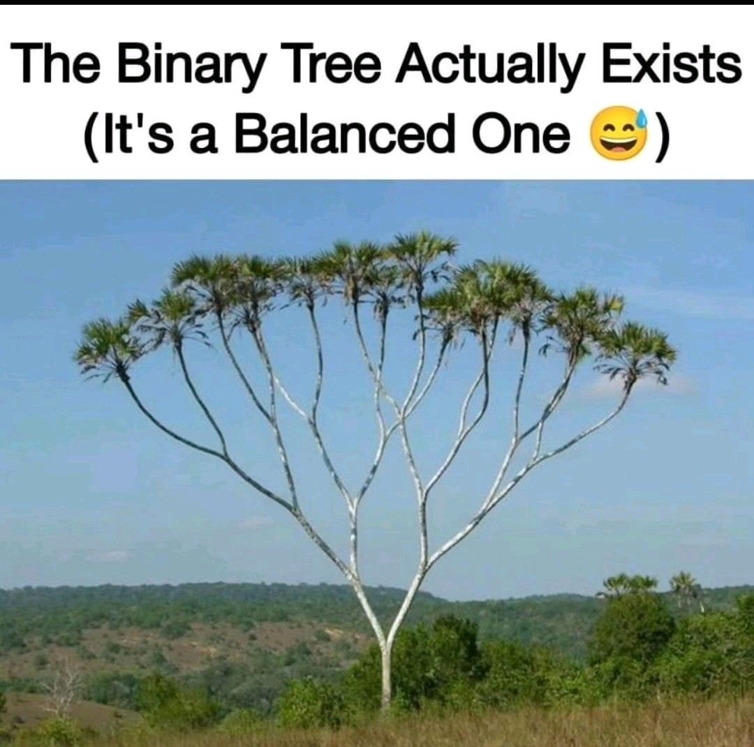 Rohit Kumar Mandal on LinkedIn: #memes #leetcode #codingchallenge # ... Rohit Kumar Mandal on LinkedIn: #memes #leetcode #codingchallenge # ...