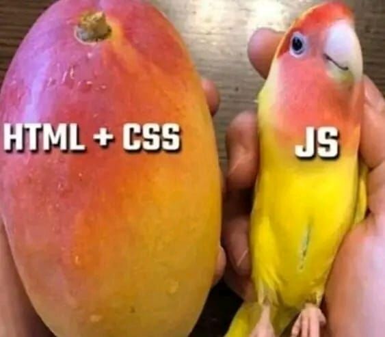 Muhammad Arsalan on LinkedIn: ye tumhy kha jyga JavaScript Muhammad Arsalan on LinkedIn: ye tumhy kha jyga JavaScript