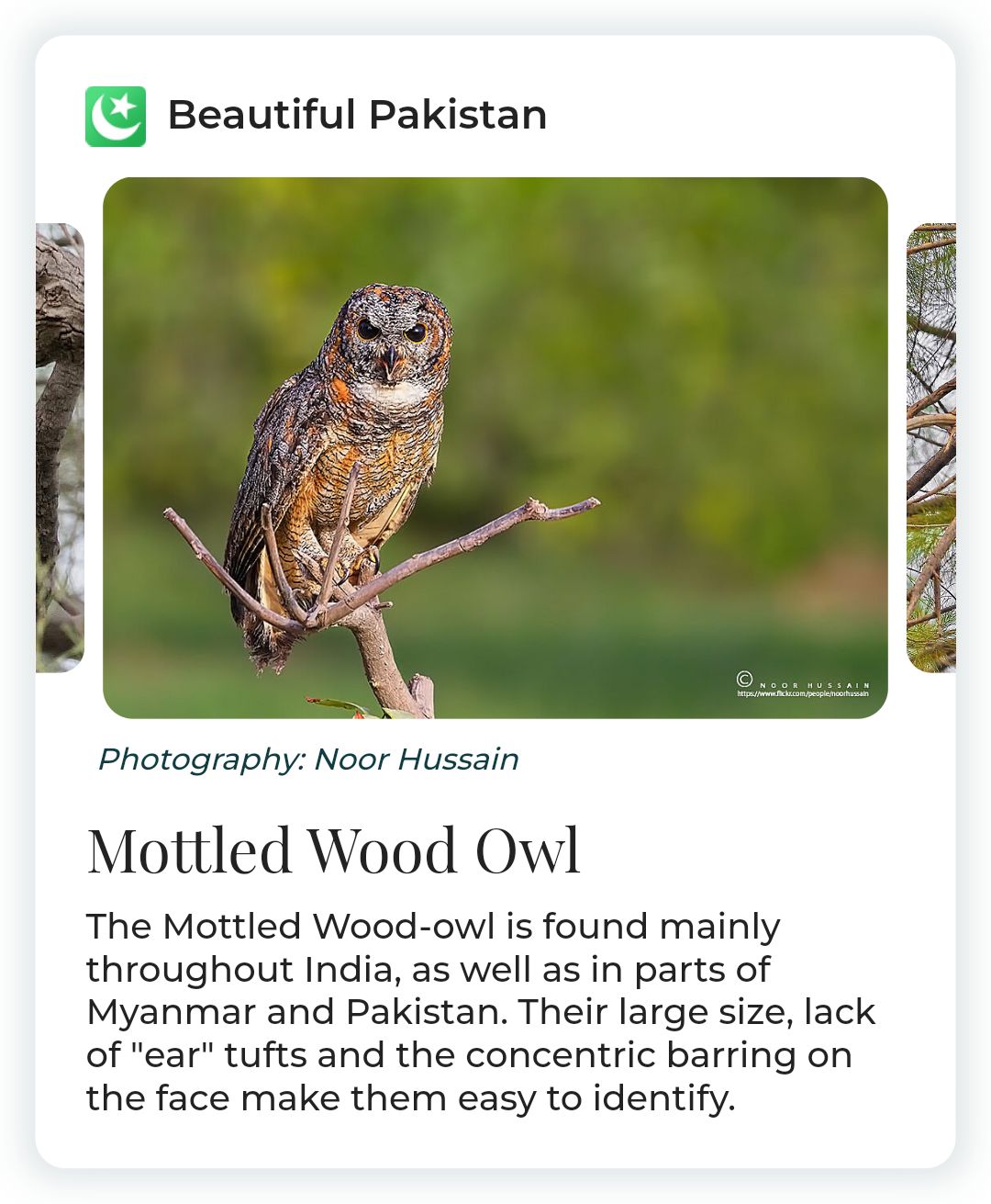 Abdullah Chauhan on LinkedIn: #app #mobileapp #android #ios #flutter # ... Abdullah Chauhan on LinkedIn: #app #mobileapp #android #ios #flutter # ...