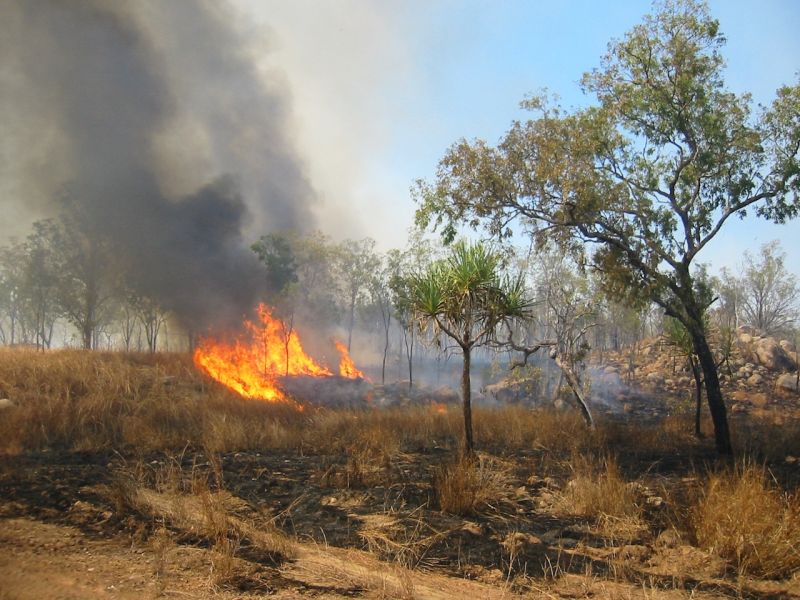 OBT Financial Group on LinkedIn: Bushfire support extended for impacted ... OBT Financial Group on LinkedIn: Bushfire support extended for impacted ...