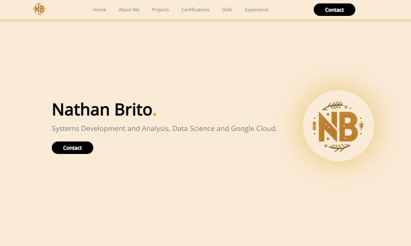 NATHAN BRITO on LinkedIn: #html #js #css #opentowork NATHAN BRITO on LinkedIn: #html #js #css #opentowork