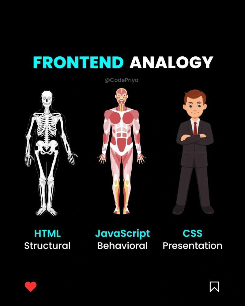 #html #css #css3 #javascript #100daysofcode #webdevelopment # ... #html #css #css3 #javascript #100daysofcode #webdevelopment # ...