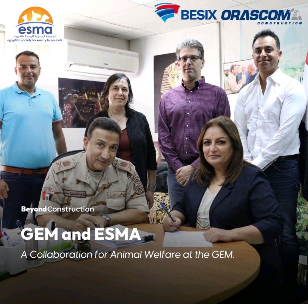 Abdelrahman Youssry posted on LinkedIn Abdelrahman Youssry posted on LinkedIn