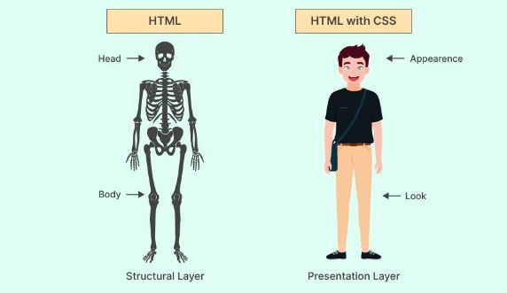 Muhammad Rayyan on LinkedIn: #html #css #coding #tech #micodingschool # ... Muhammad Rayyan on LinkedIn: #html #css #coding #tech #micodingschool # ...
