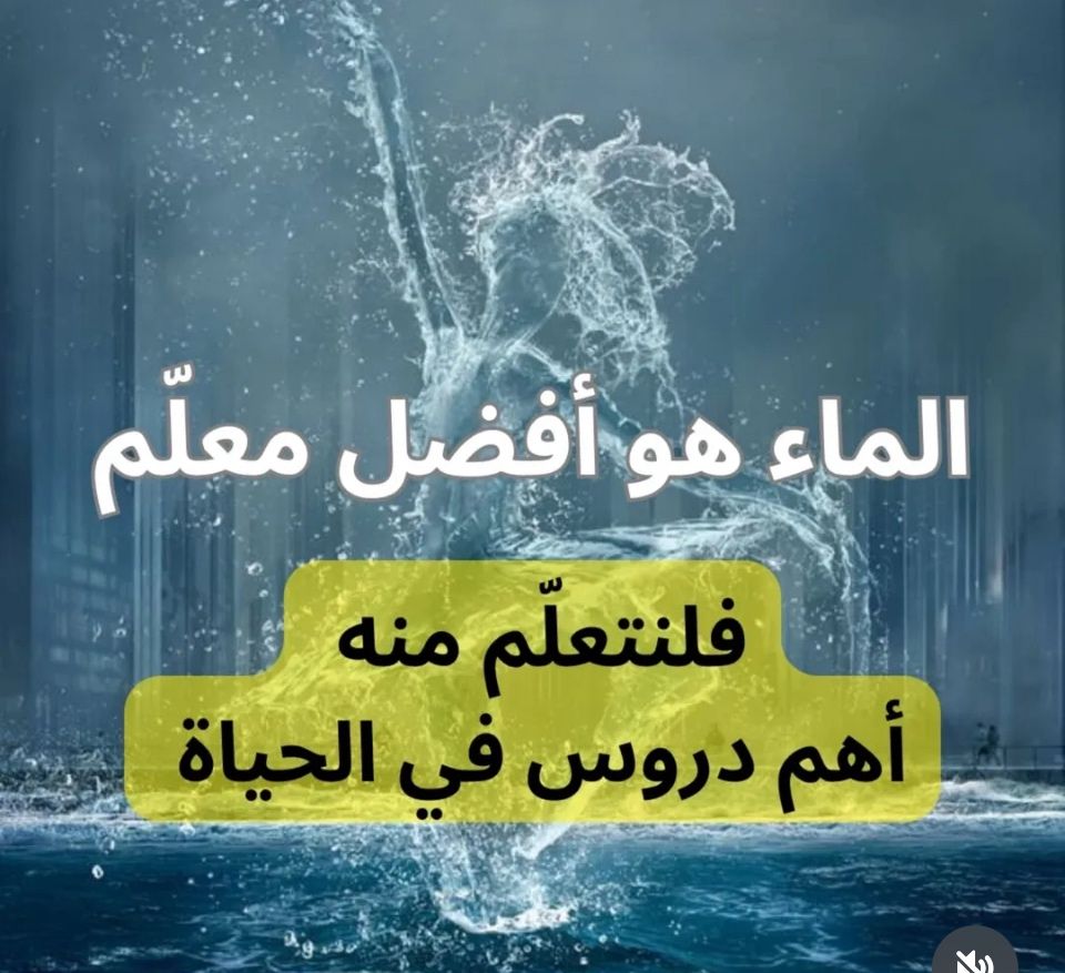 Mohamed Kamal posted on LinkedIn Mohamed Kamal posted on LinkedIn