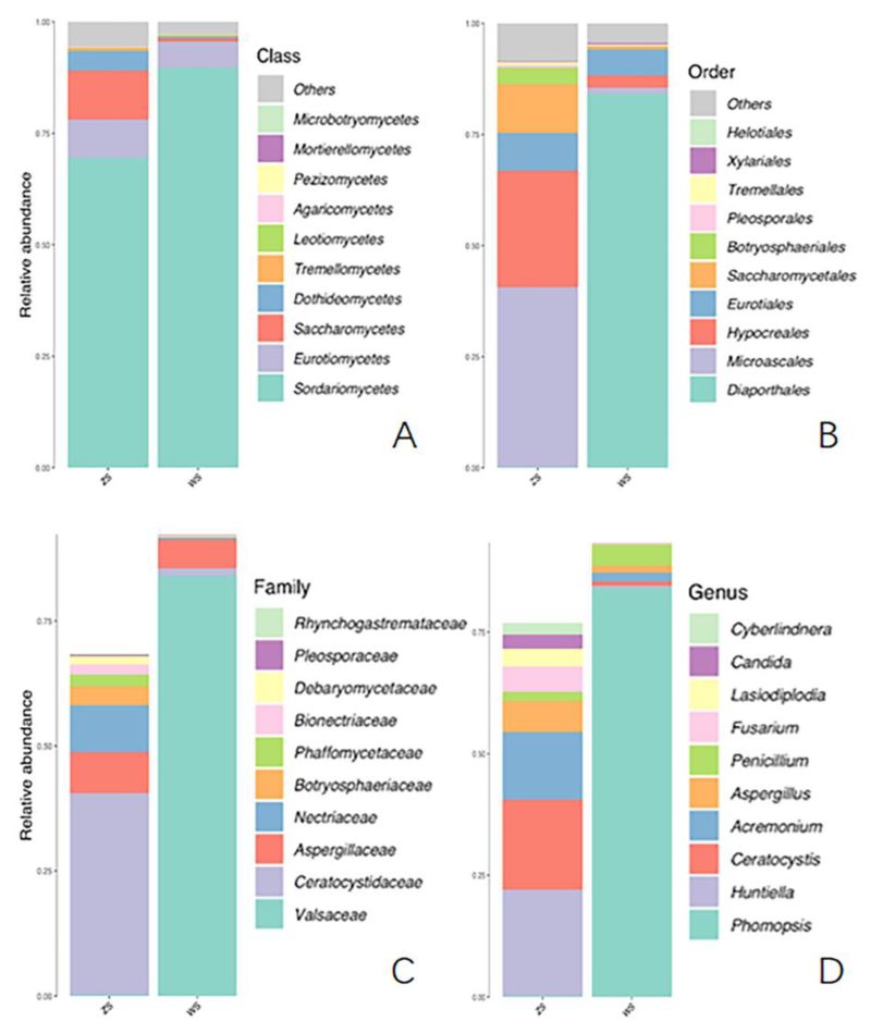 Diversity MDPI on LinkedIn: #diversitymdpi #fungal #diversity #rubberwood Diversity MDPI on LinkedIn: #diversitymdpi #fungal #diversity #rubberwood