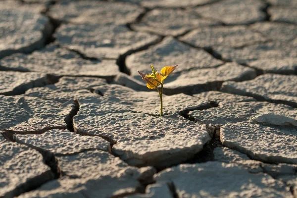 Najet MANAI on LinkedIn: I read something recently that really stayed ... Najet MANAI on LinkedIn: I read something recently that really stayed ...