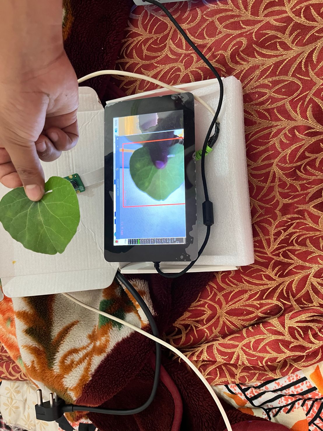 Plant disease detection using Deep Learning | Prashant Jha Plant disease detection using Deep Learning | Prashant Jha