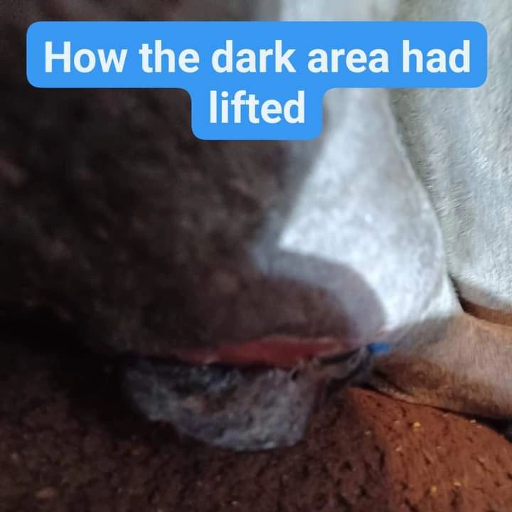 Louise Guiver on LinkedIn: Opie update ... A continued thank you for ... Louise Guiver on LinkedIn: Opie update ... A continued thank you for ...