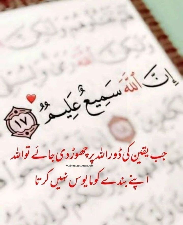 Muhammad Hassaan Ahmed Khan on LinkedIn: beshak Muhammad Hassaan Ahmed Khan on LinkedIn: beshak