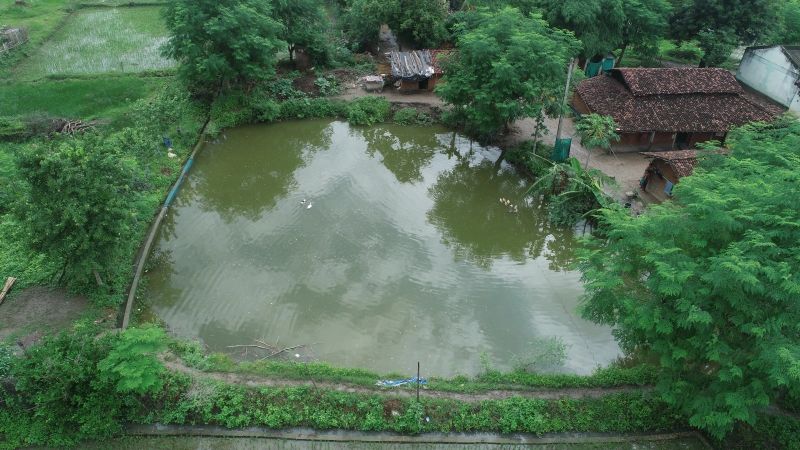 Hrudayananda Mohapatra on LinkedIn: Farmpond Plus Model Of one of ... Hrudayananda Mohapatra on LinkedIn: Farmpond Plus Model Of one of ...