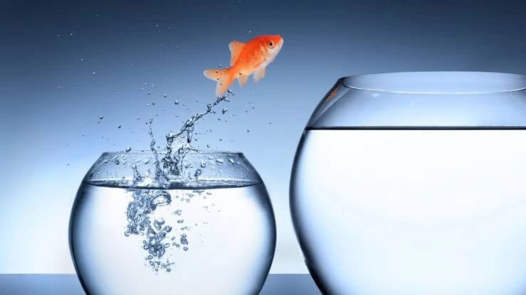 Bhingaradiya Hardik on LinkedIn: #opportunity #efforts #success Bhingaradiya Hardik on LinkedIn: #opportunity #efforts #success