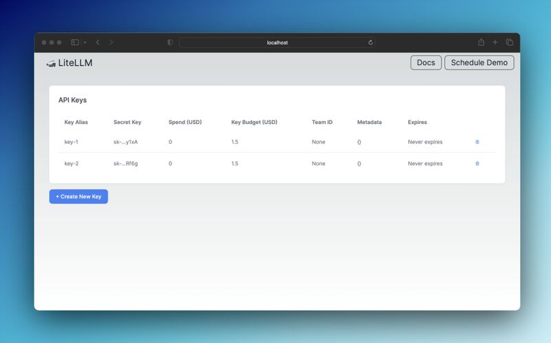Ishaan Jaffer on LinkedIn: π LiteLLM Proxy v1.21.6+ Allow anyone in ... Ishaan Jaffer on LinkedIn: π LiteLLM Proxy v1.21.6+ Allow anyone in ...