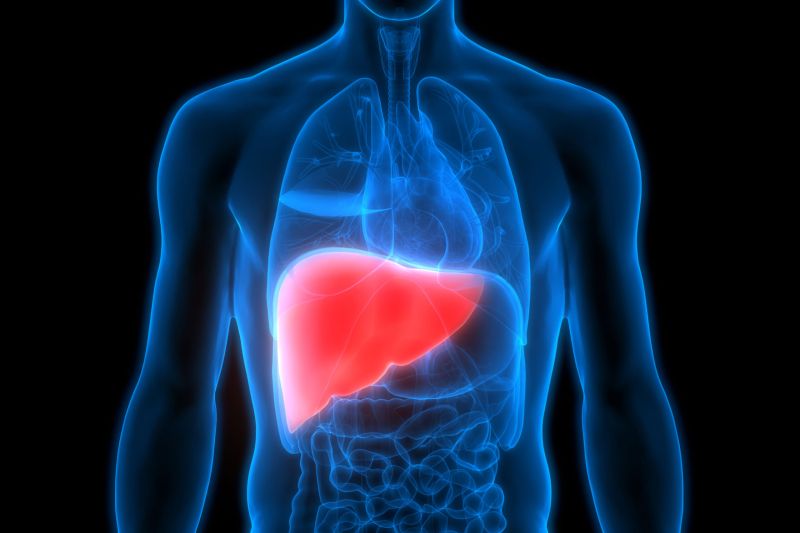 Albert Fisher on LinkedIn: First robotic liver transplant in U.S ... Albert Fisher on LinkedIn: First robotic liver transplant in U.S ...