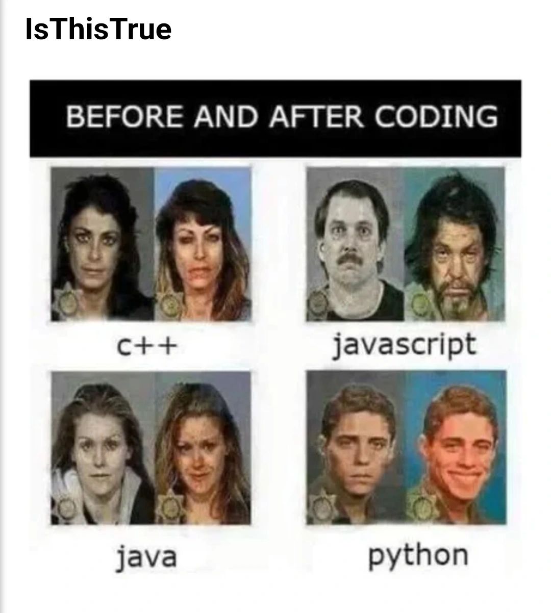 Priyanshu Singh on LinkedIn: #c #javascript #java #python #coding #sarcasm Priyanshu Singh on LinkedIn: #c #javascript #java #python #coding #sarcasm